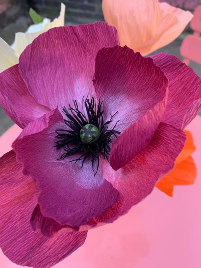 Craft Box with Paper Poppy Making Kit by Ditzy Rose Online Crafts